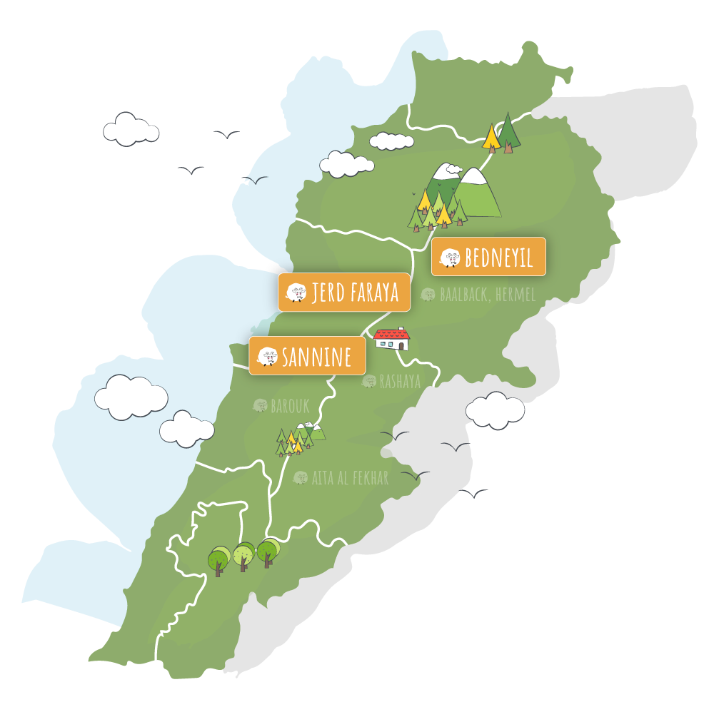 Embrace Health with Go Baladi's Grass-Fed Goat Dairy